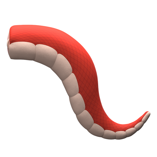Zentreya Wearable Tail Pillow